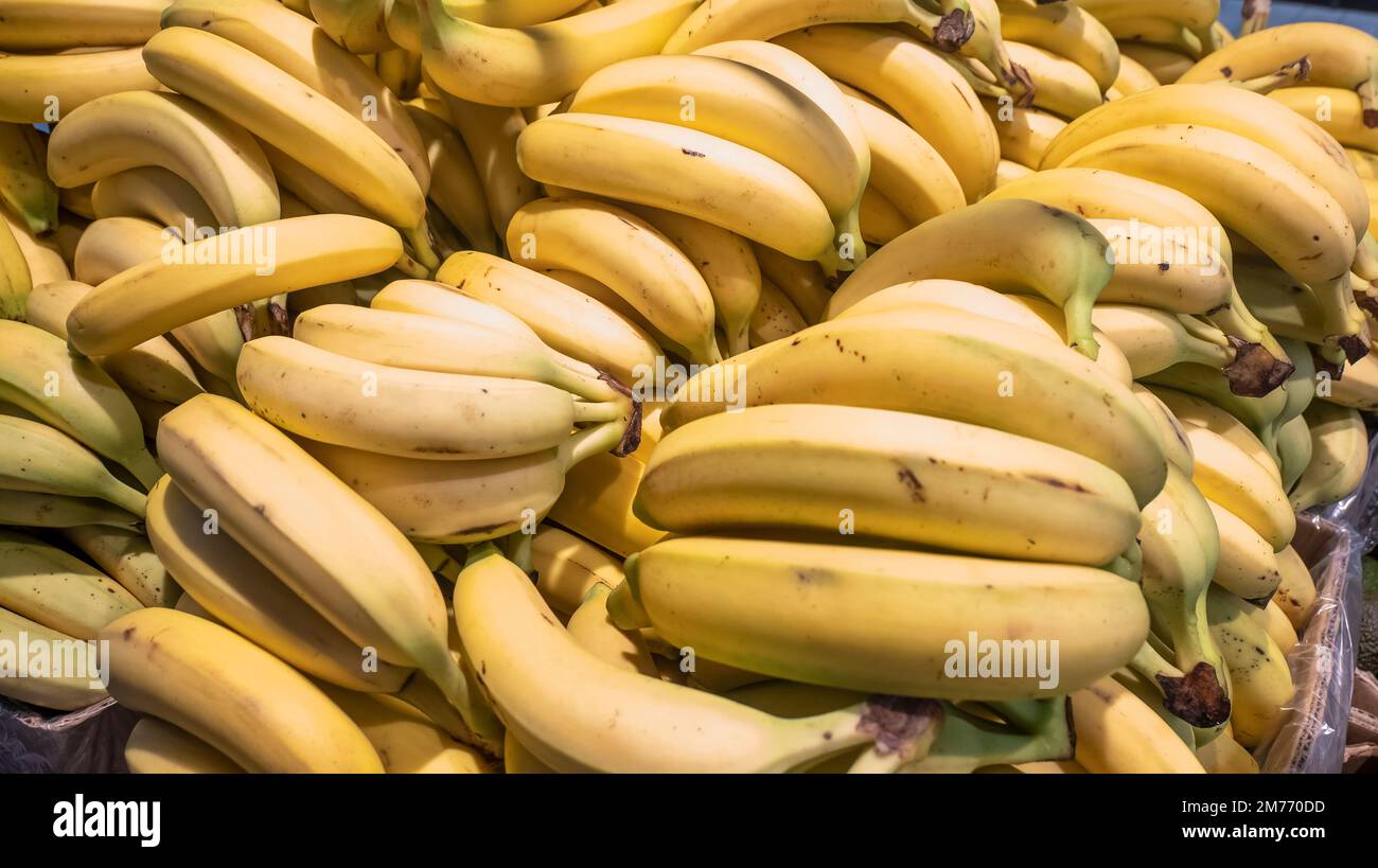 bananas close-up. ripe bananas on the supermarket shelf Stock Photo - Alamy