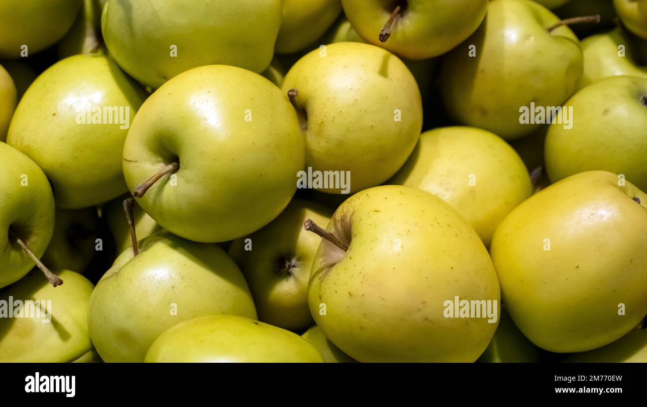 apples on the supermarket shelf. green ripe apples close-up background ...