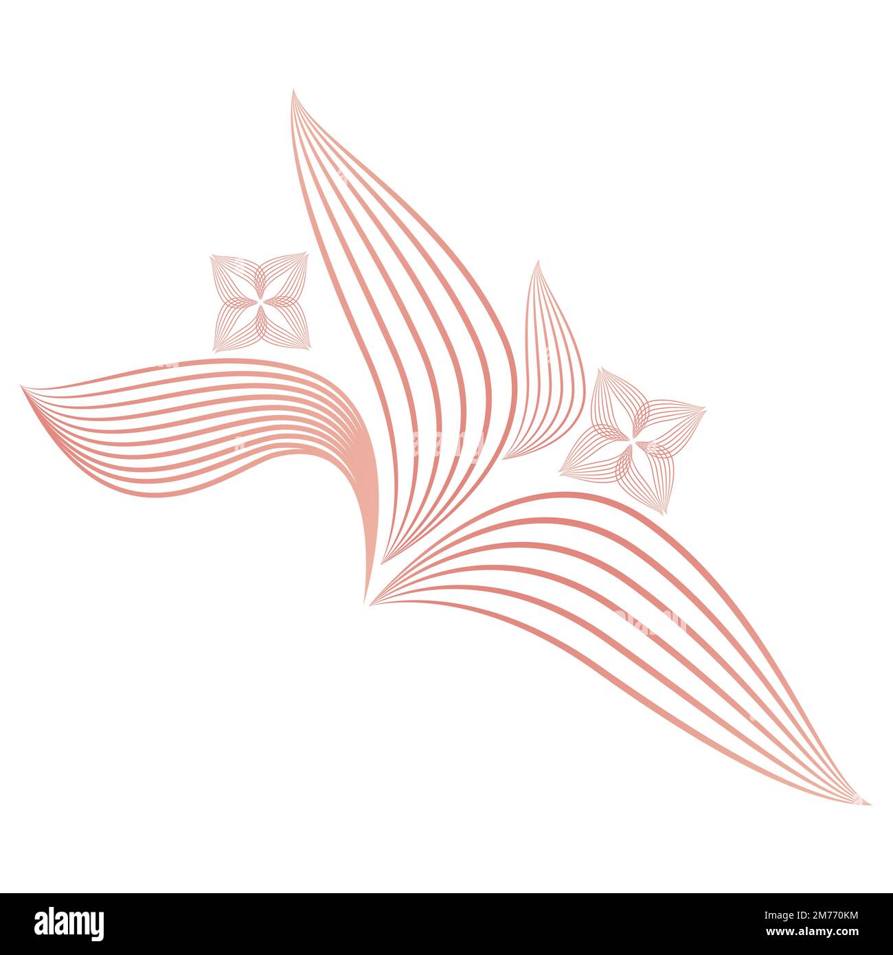beautiful flower petals, flower line design Stock Photo - Alamy