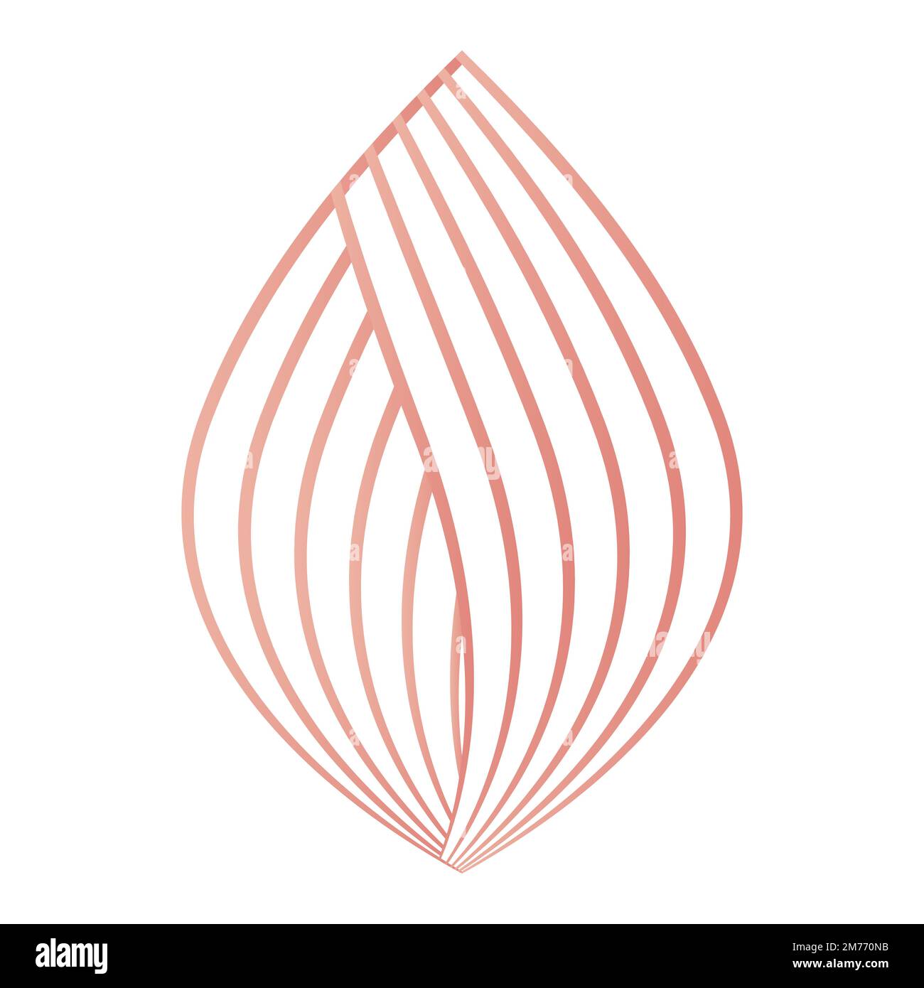 beautiful flower petals, flower line design Stock Photo - Alamy