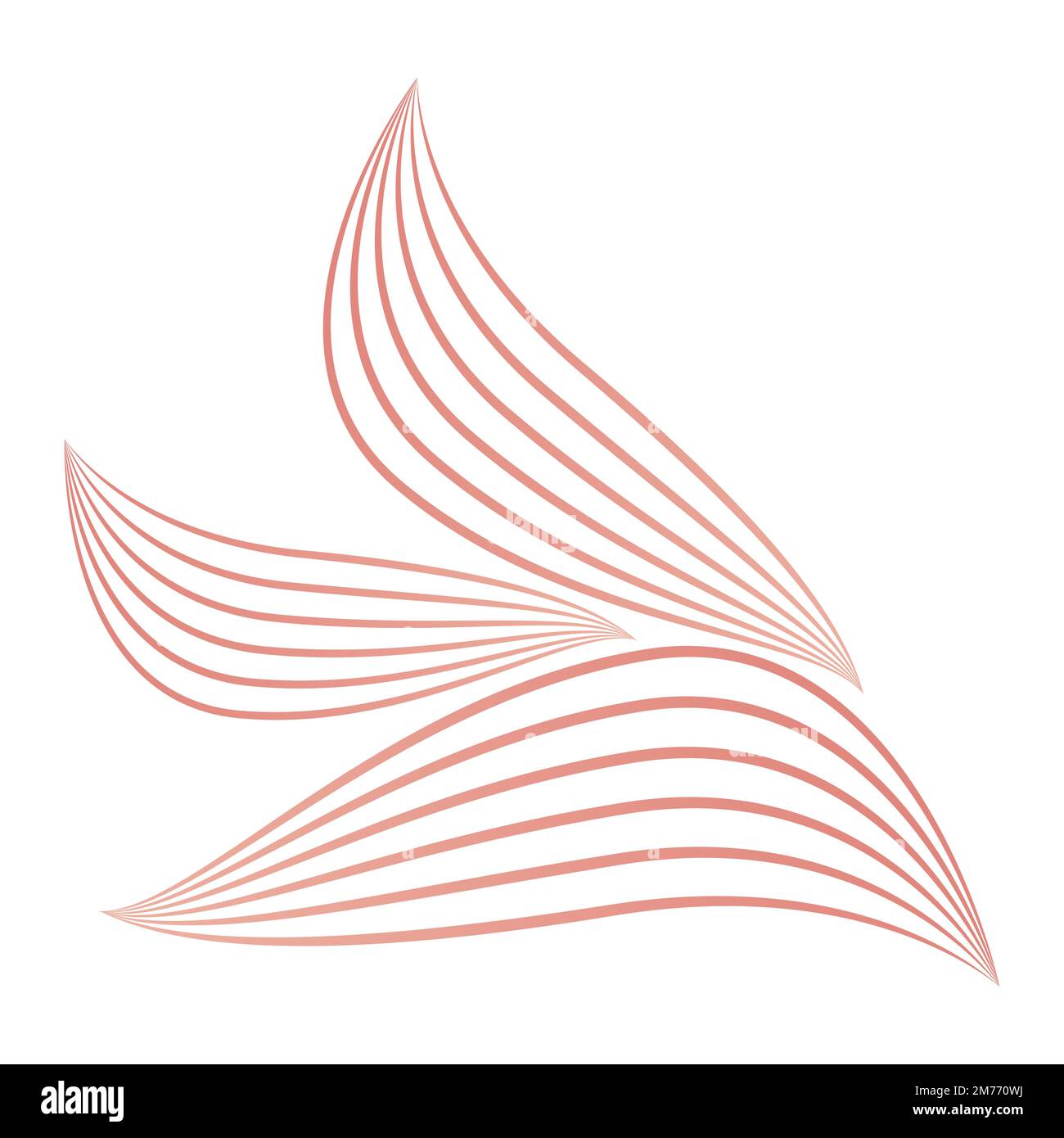 beautiful flower petals, flower line design Stock Photo - Alamy