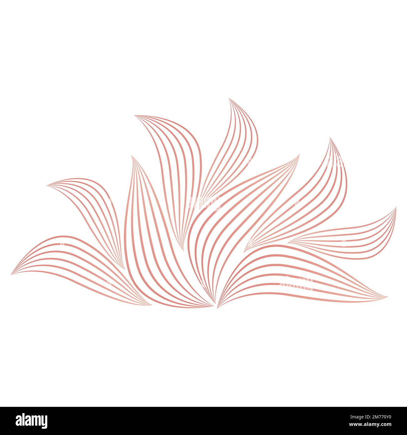 beautiful flower petals, flower line design Stock Photo - Alamy