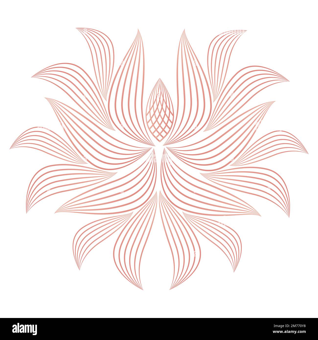 beautiful flower petals, flower line design Stock Photo - Alamy