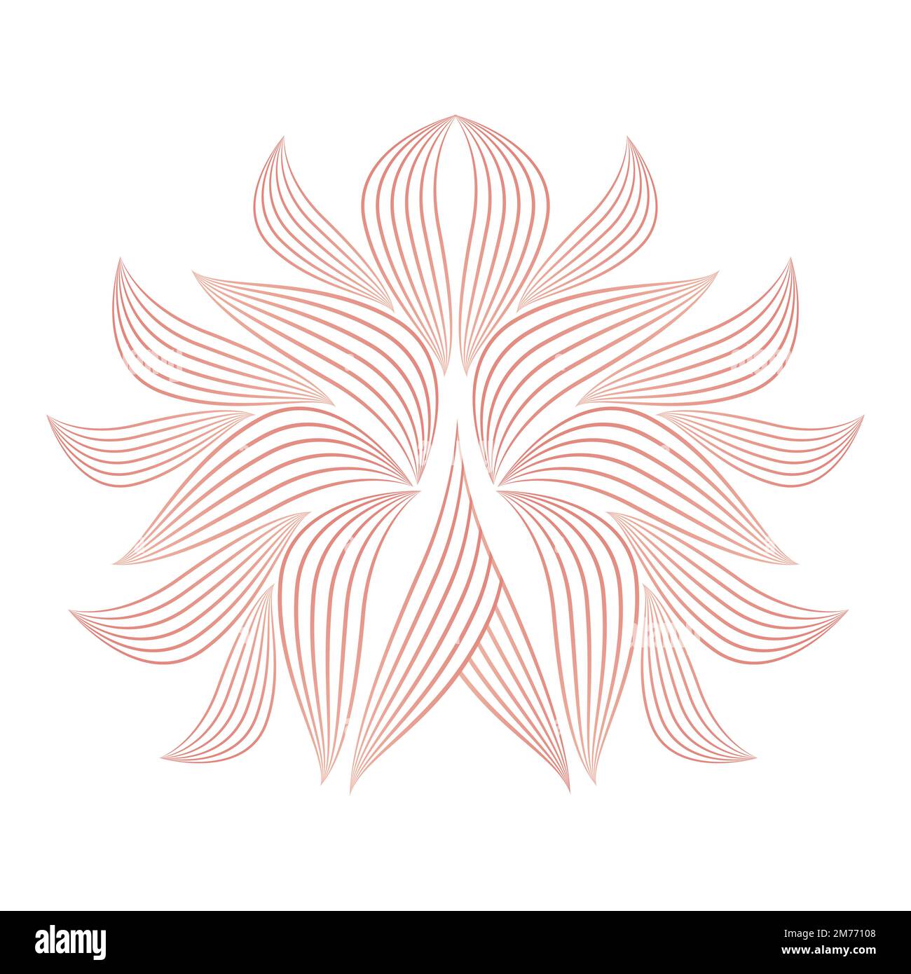 beautiful flower petals, flower line design Stock Photo - Alamy