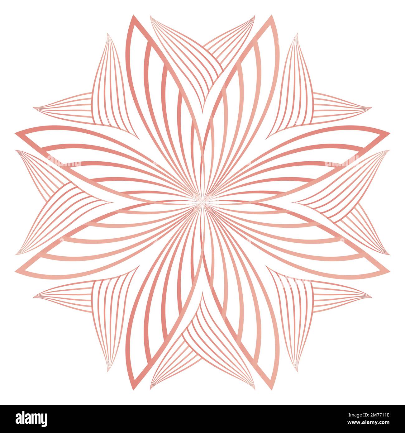 beautiful flower petals, flower line design Stock Photo - Alamy