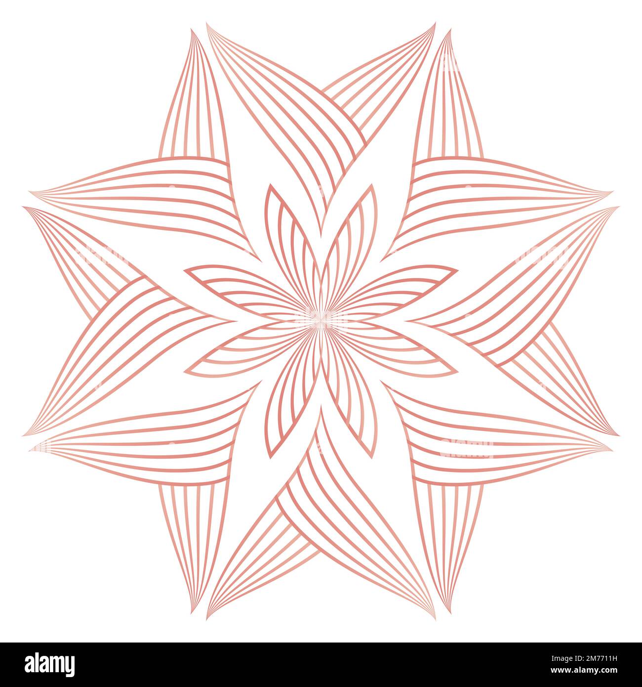 beautiful flower petals, flower line design Stock Photo - Alamy