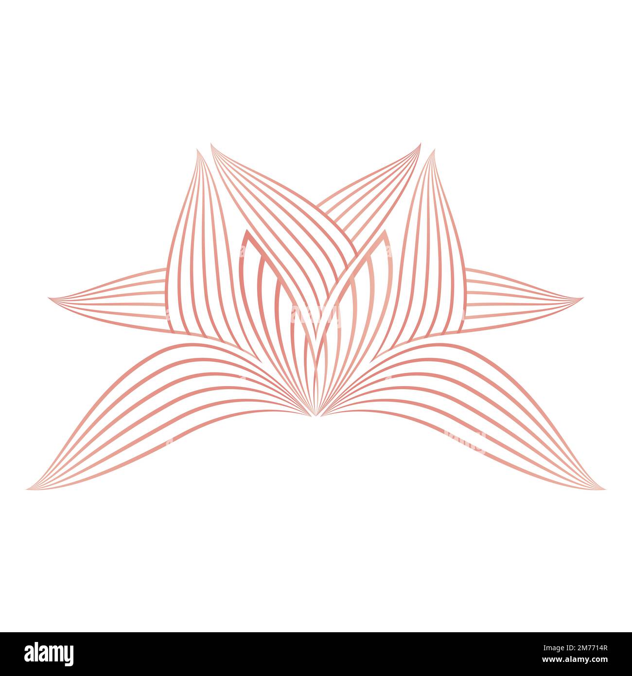 beautiful flower petals, flower line design Stock Photo - Alamy