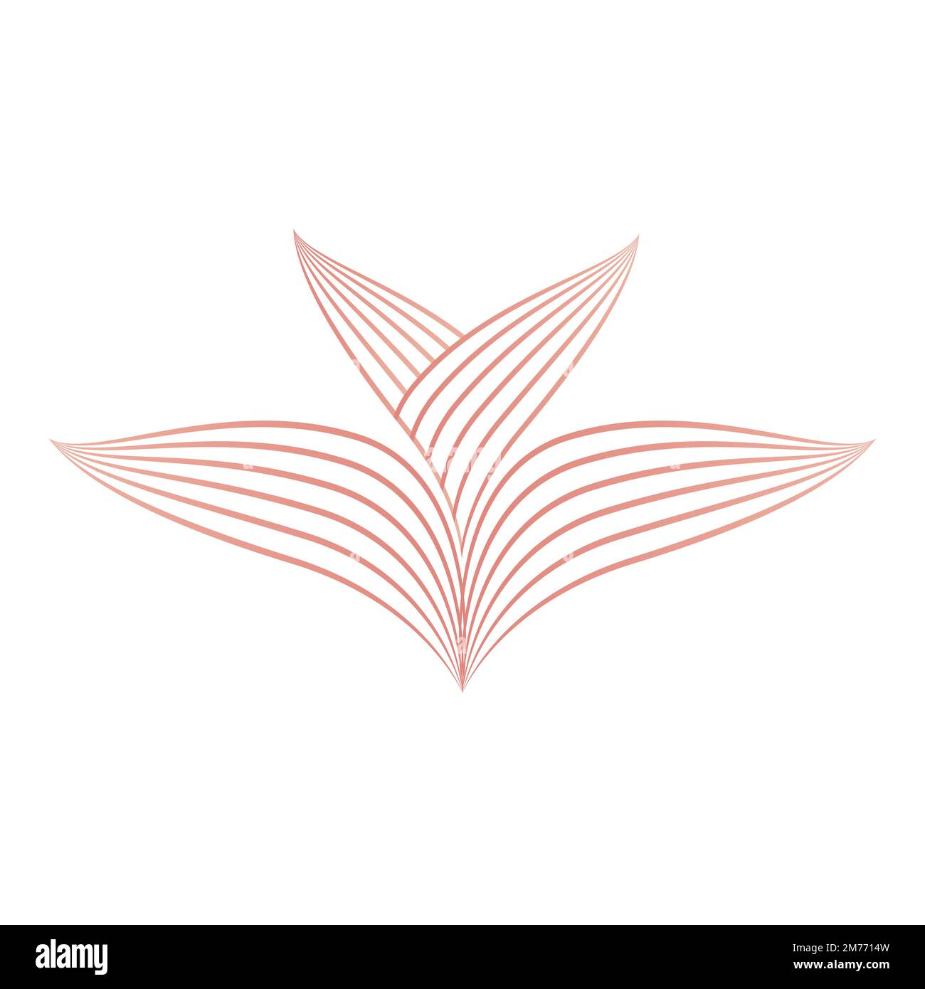 beautiful flower petals, flower line design Stock Photo - Alamy