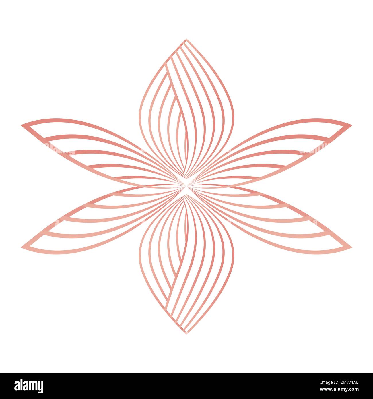 beautiful flower petals, flower line design Stock Photo - Alamy