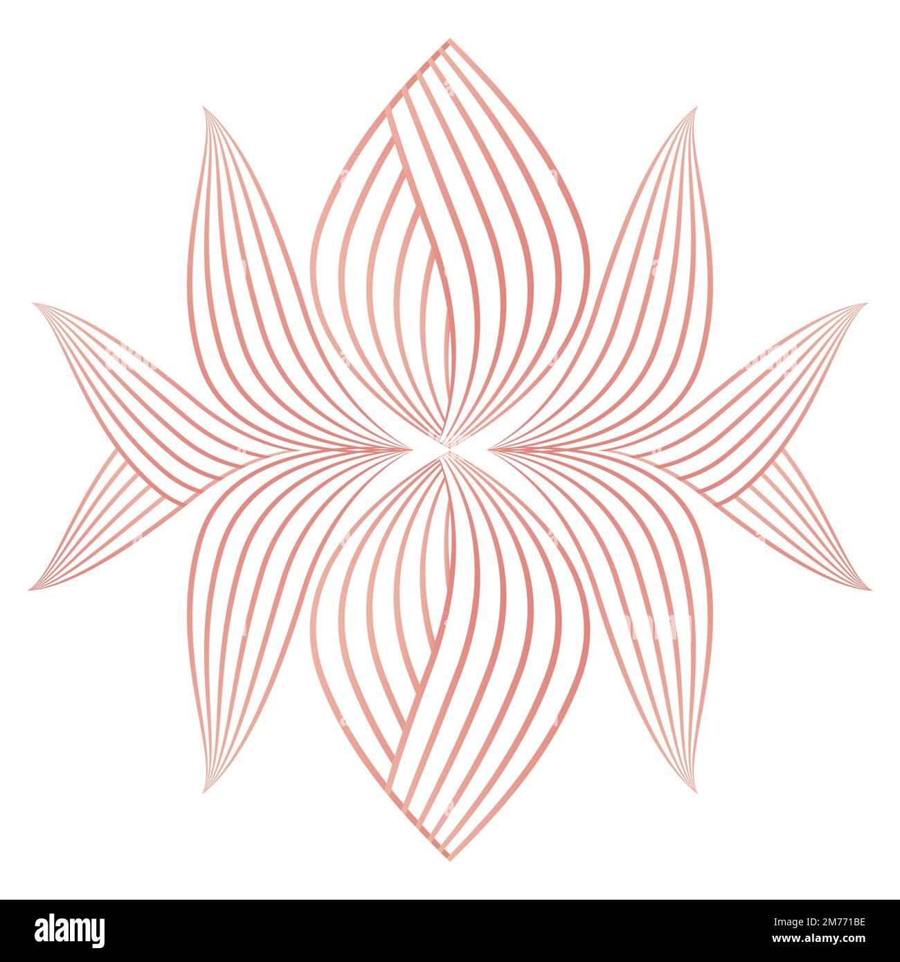 beautiful flower petals, flower line design Stock Photo - Alamy