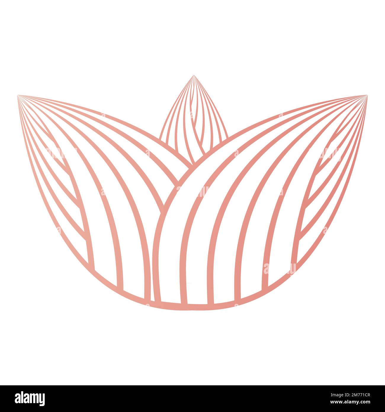 beautiful flower petals, flower line design Stock Photo - Alamy