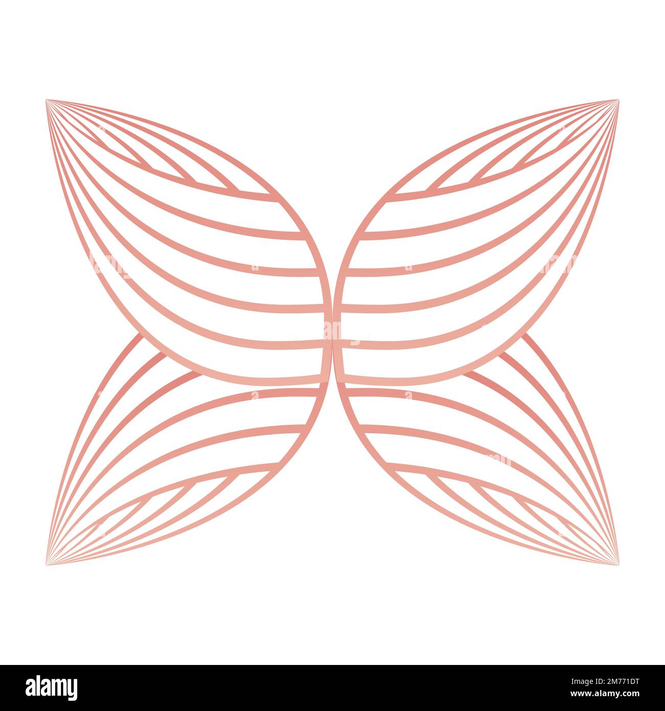 beautiful flower petals, flower line design Stock Photo - Alamy