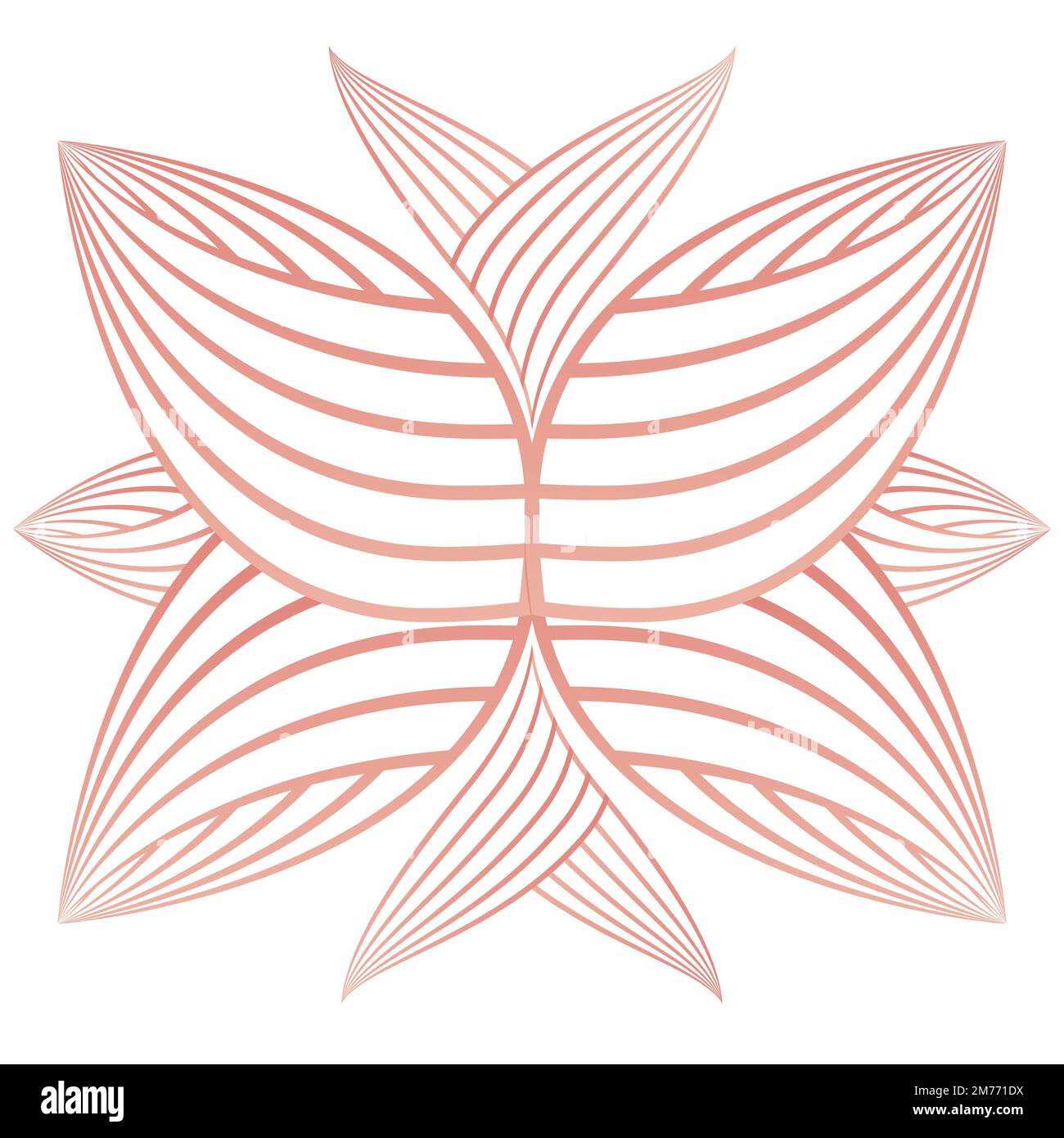 beautiful flower petals, flower line design Stock Photo - Alamy