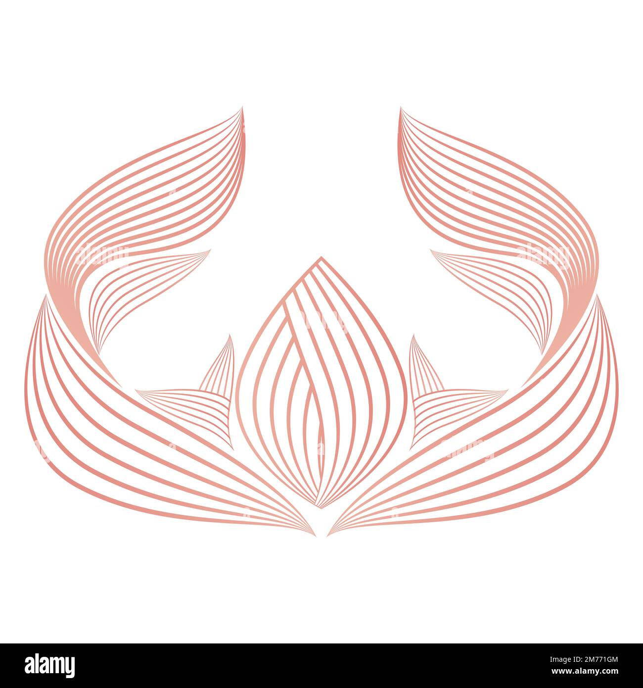 beautiful flower petals, flower line design Stock Photo - Alamy