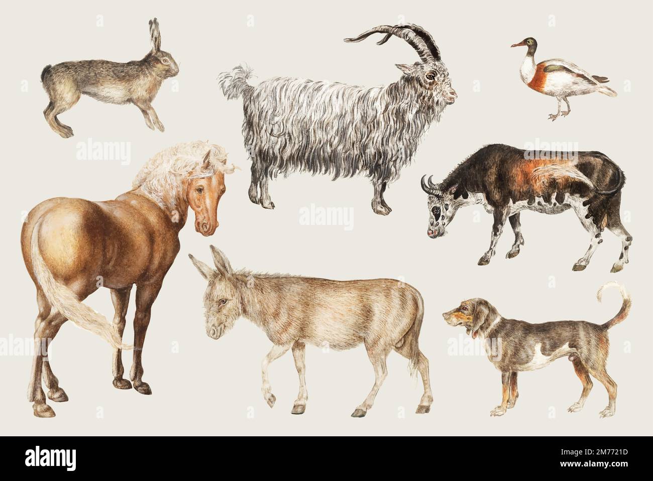 Vintage countryside farm animals set vector Stock Vector Image & Art ...