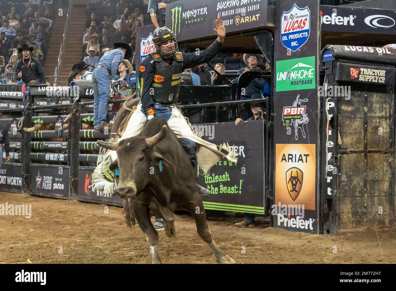 NEW YORK, NEW YORK - JANUARY 07: Eli Vastbinder rides Picco during ...