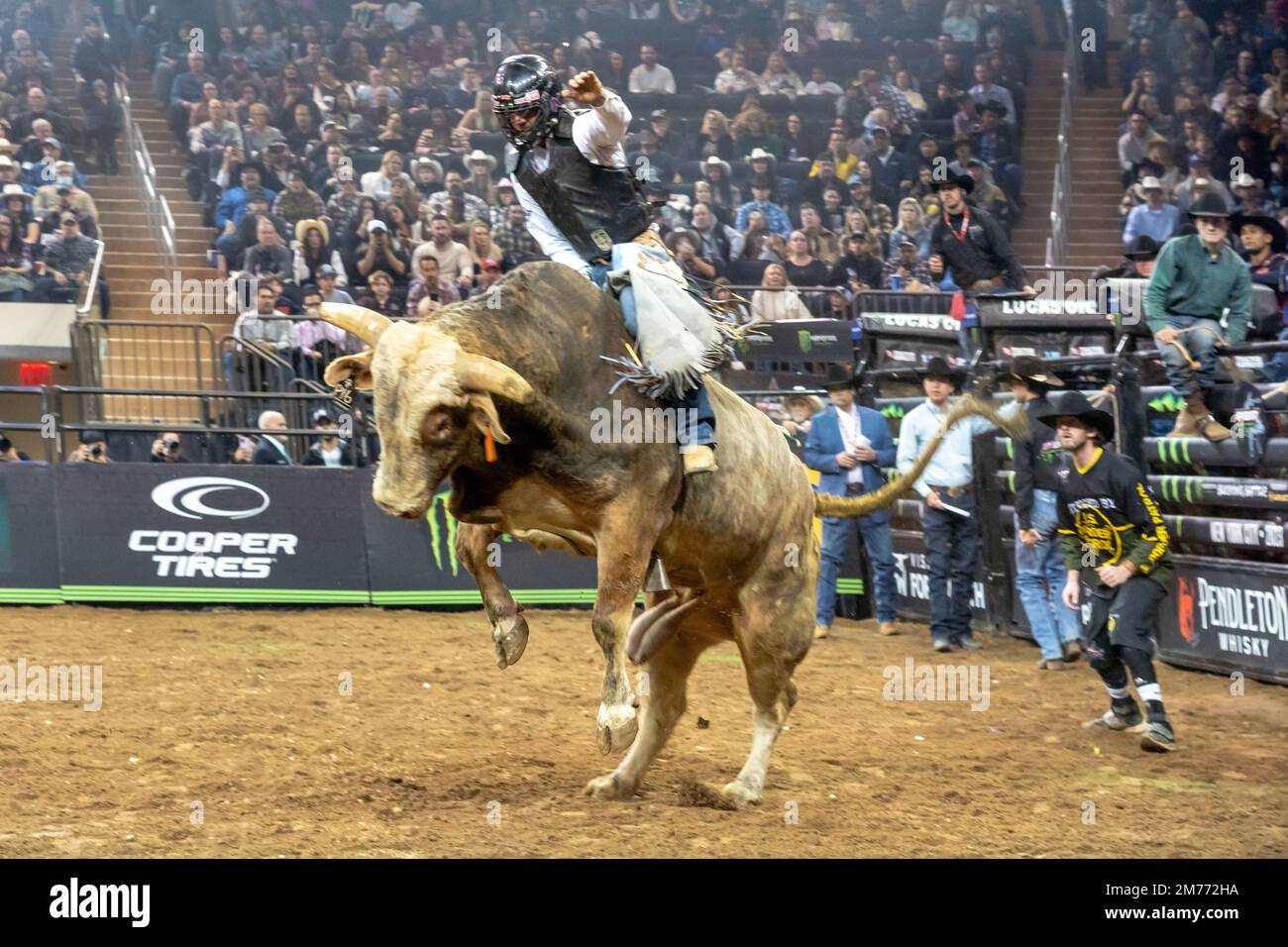 NEW YORK, NEW YORK - JANUARY 07: João Lucas rides Little R during ...
