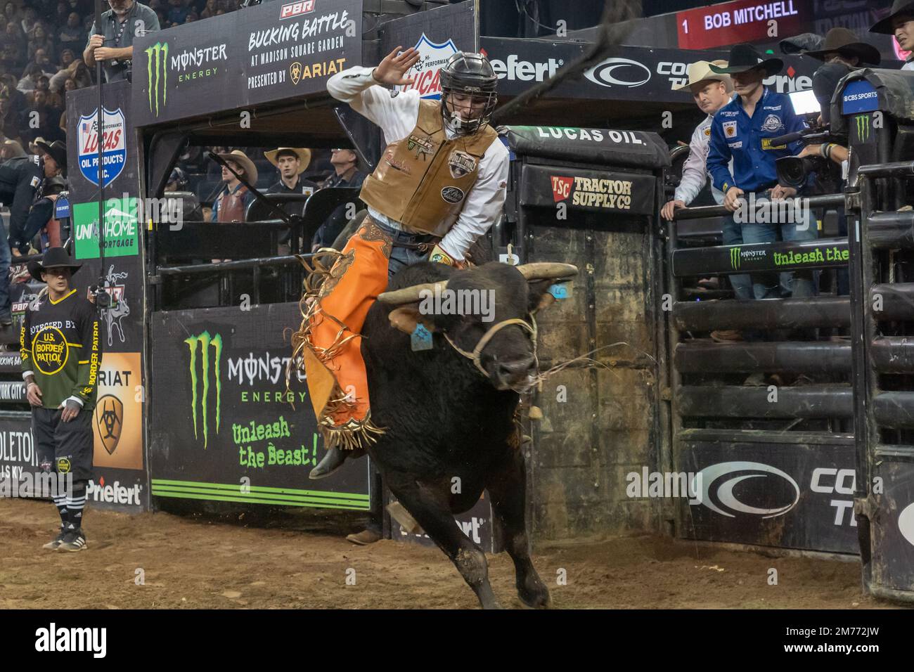 NEW YORK, NEW YORK - JANUARY 07: Jesse Petri rides Viper during second ...