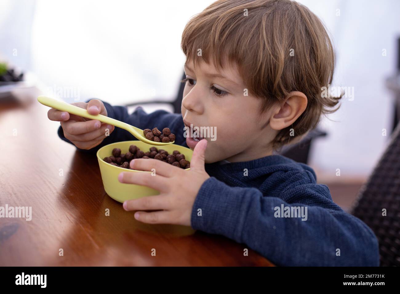 Hungry little boy sitting at wooden table in kitchen and having breakfast with dry chocolate ...