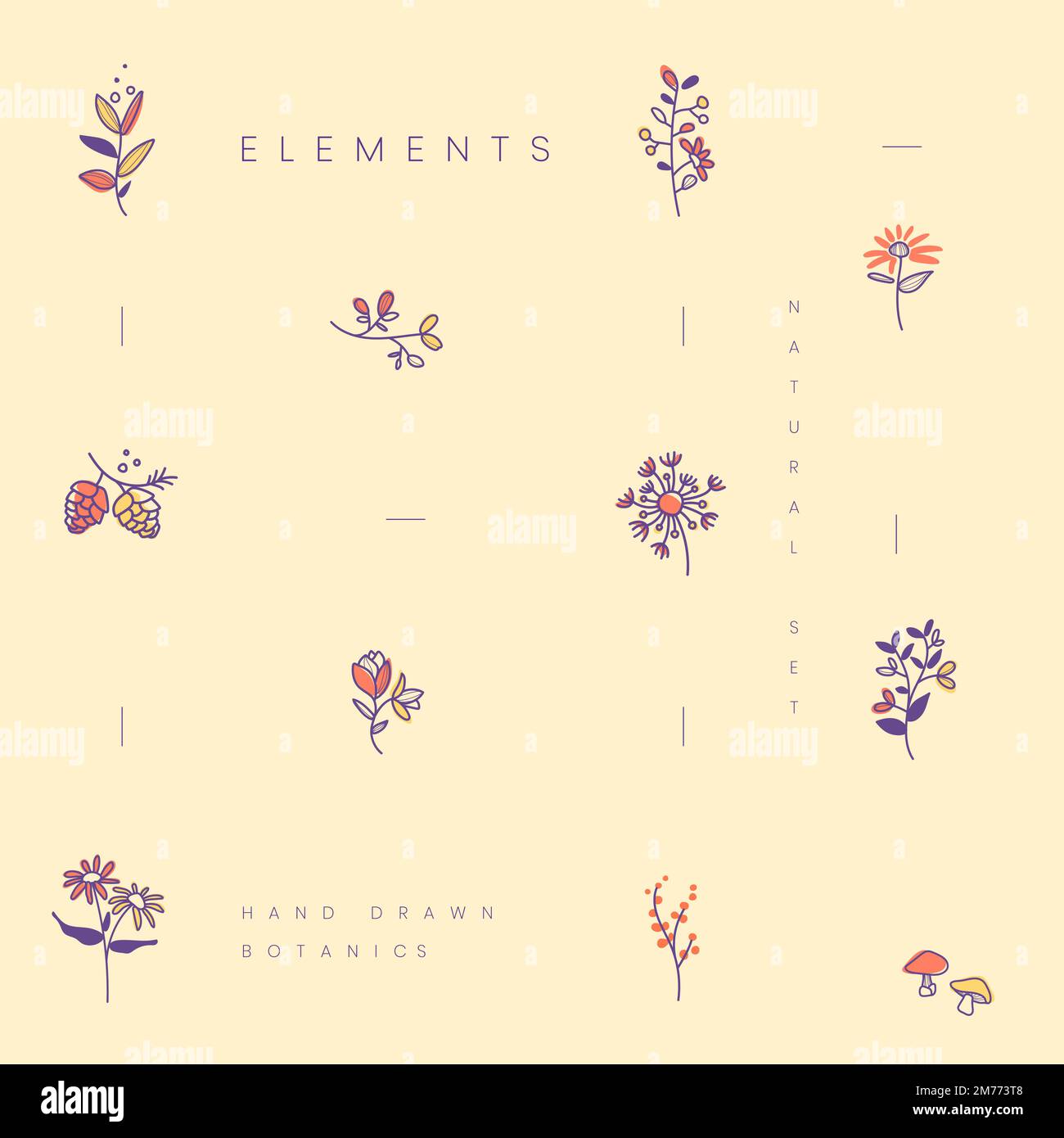 Set of hand drawn botanical elements vector Stock Vector Image & Art ...