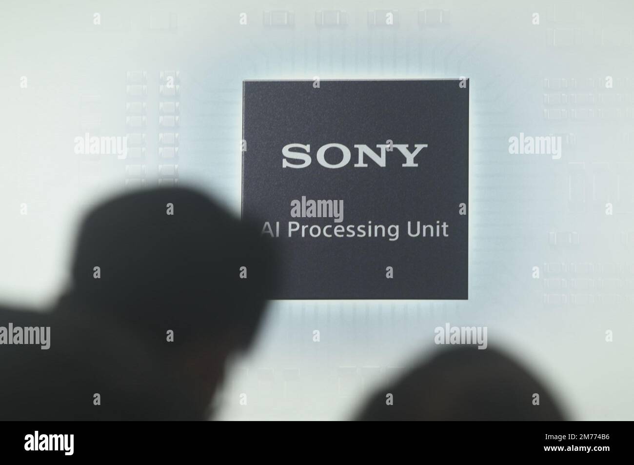 HANGZHOU, CHINA - JANUARY 8, 2023 - Customers look for electronic ...