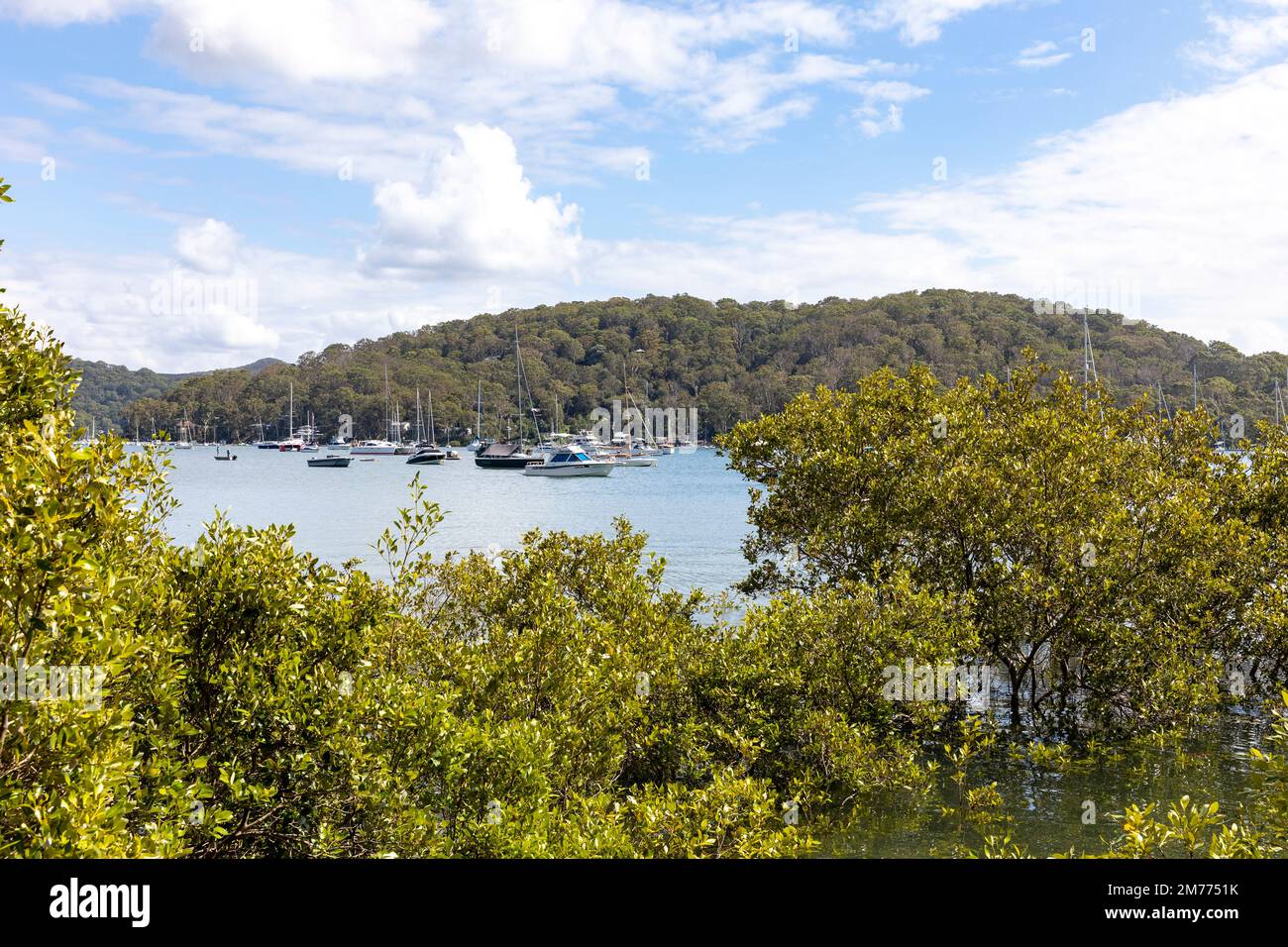 Pittwater boating area and mangroves Sydney northern beaches,NSW ...