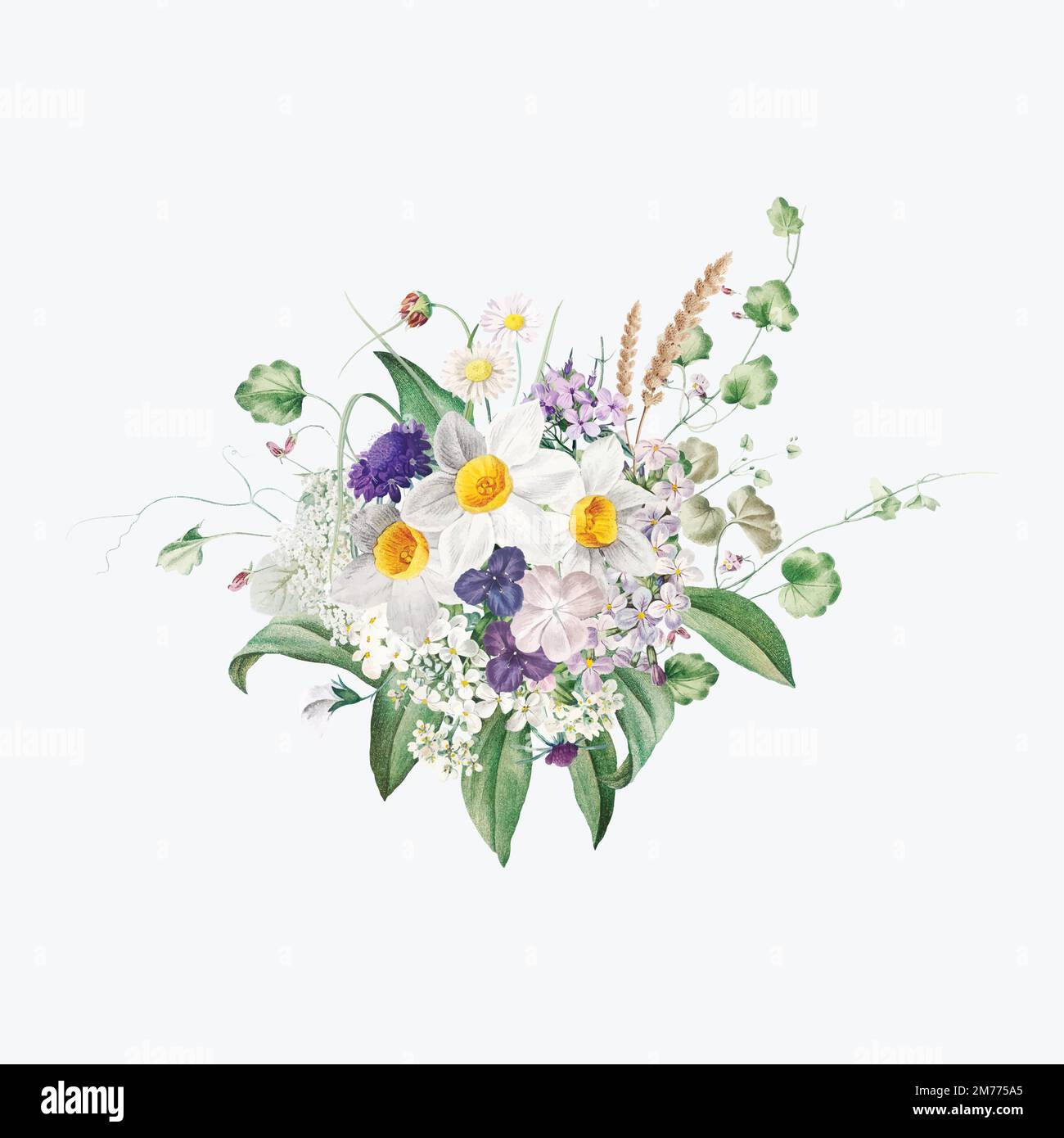 Beautiful summer flowers bouquet vector Stock Vector Image & Art - Alamy