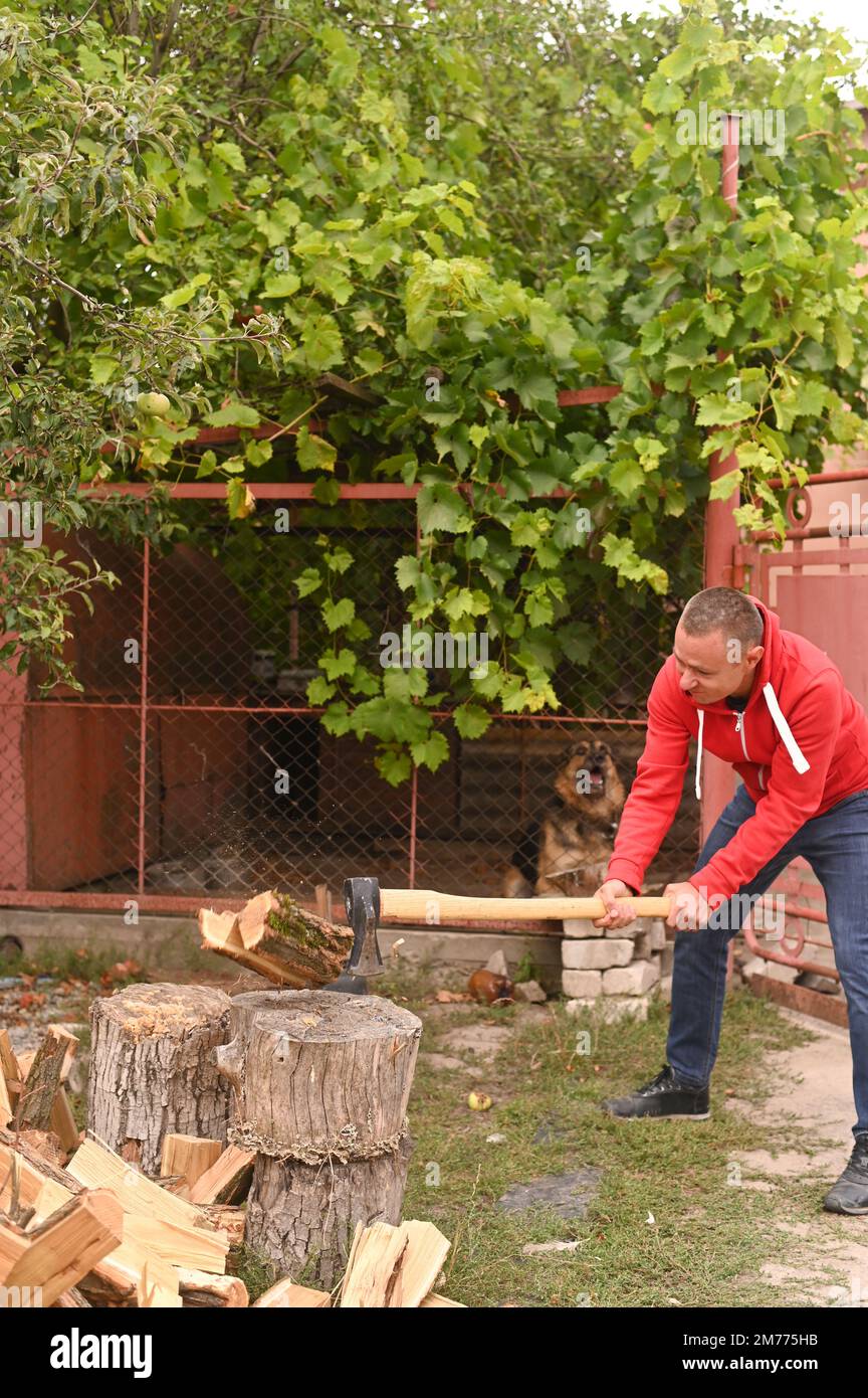 a young white man chopped up a log and its pieces flew apart. vertical ...