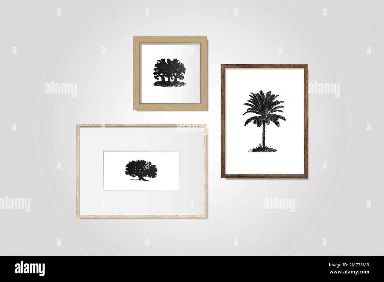 Tree frame collection on a wall vector Stock Vector Image & Art - Alamy