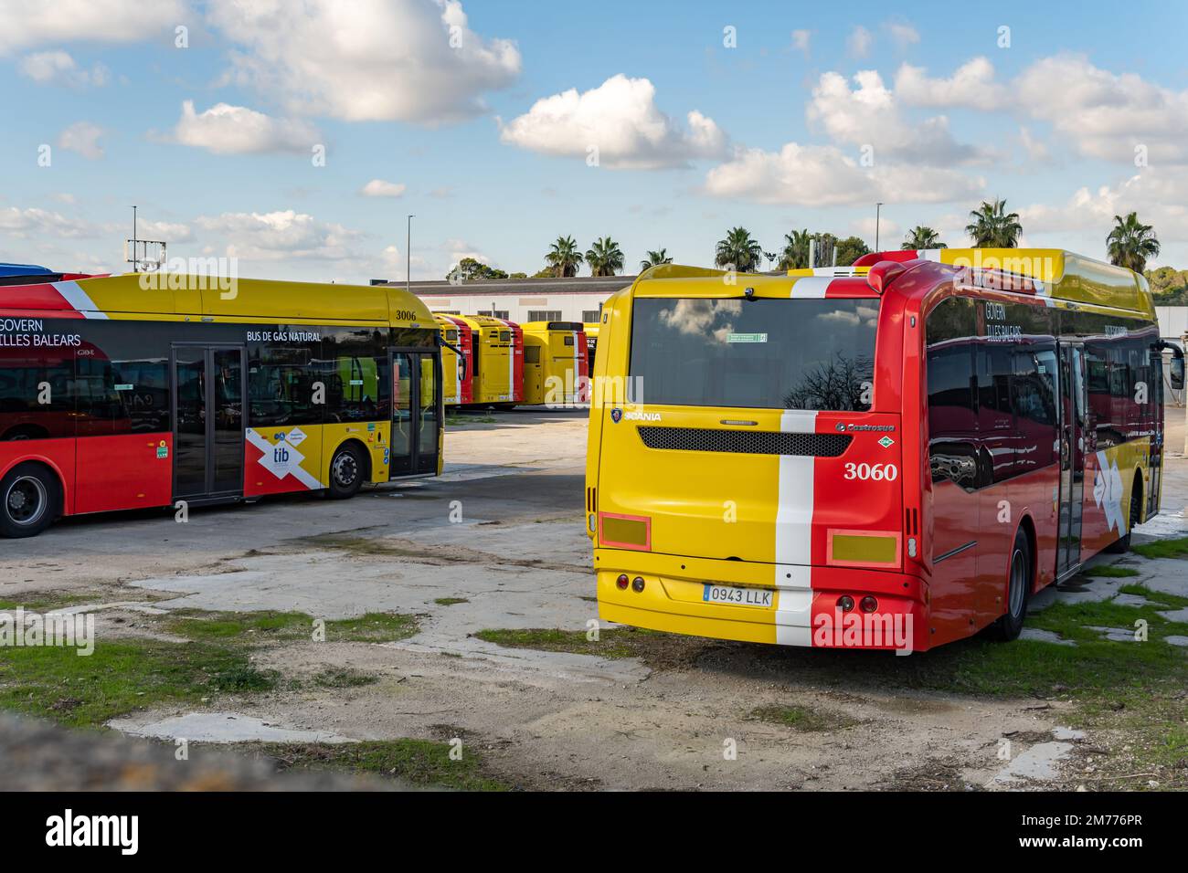Felanitx, Spain; january 04 2023: Buses of the public company TIB ...