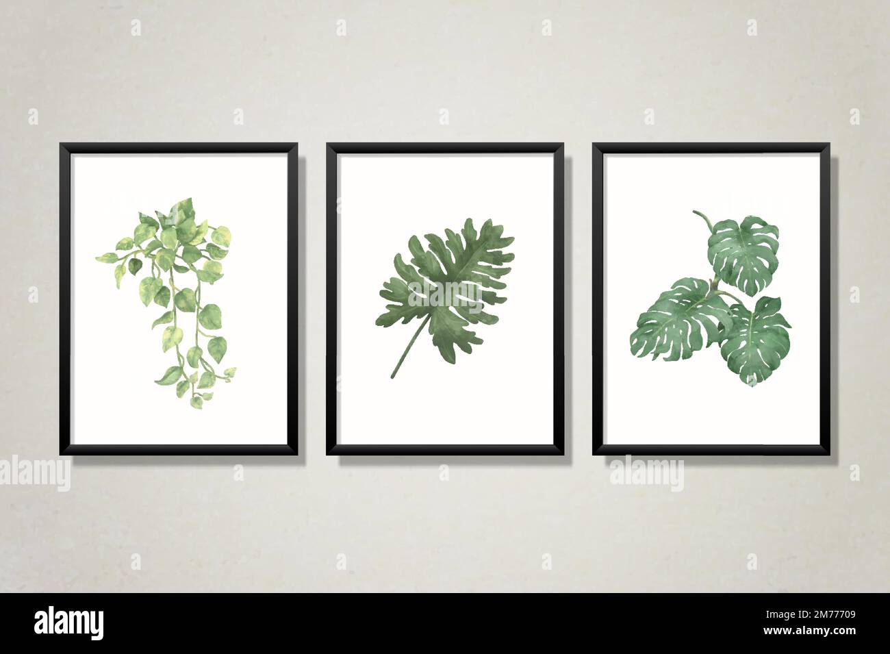 Leaves on a frame collection vector Stock Vector Image & Art - Alamy