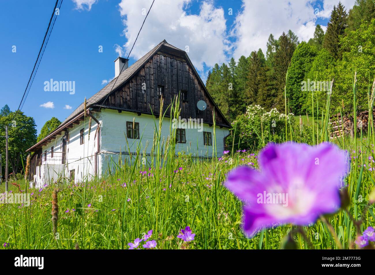 Mala moravka klein mohrau hi-res stock photography and images - Alamy