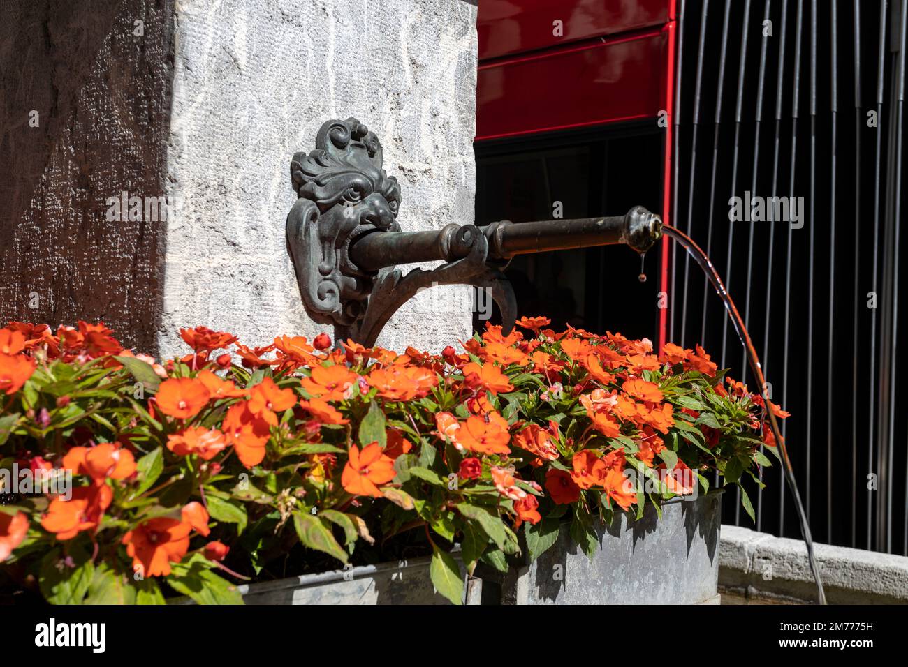 The fountain with the head of the lion and red flowers in the city ...