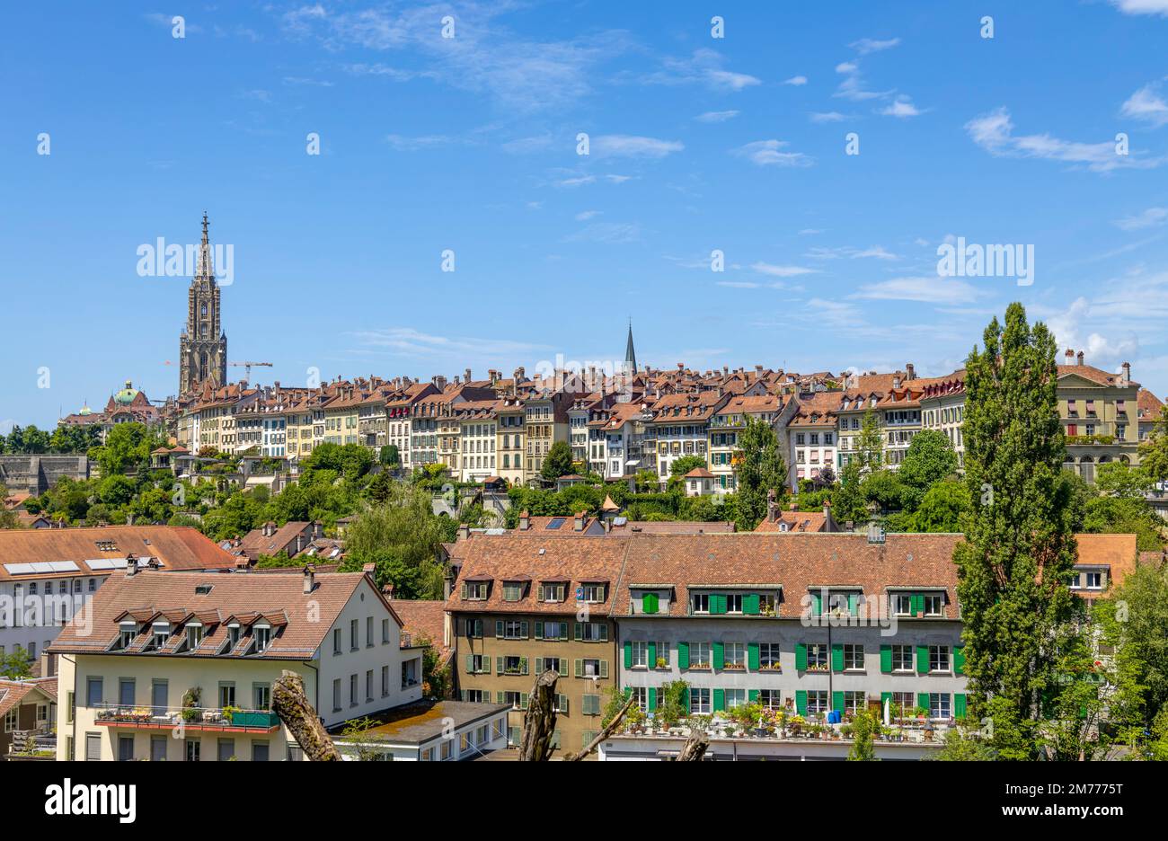 View of the roofs of the old buildings of the city, the skyline of the ...