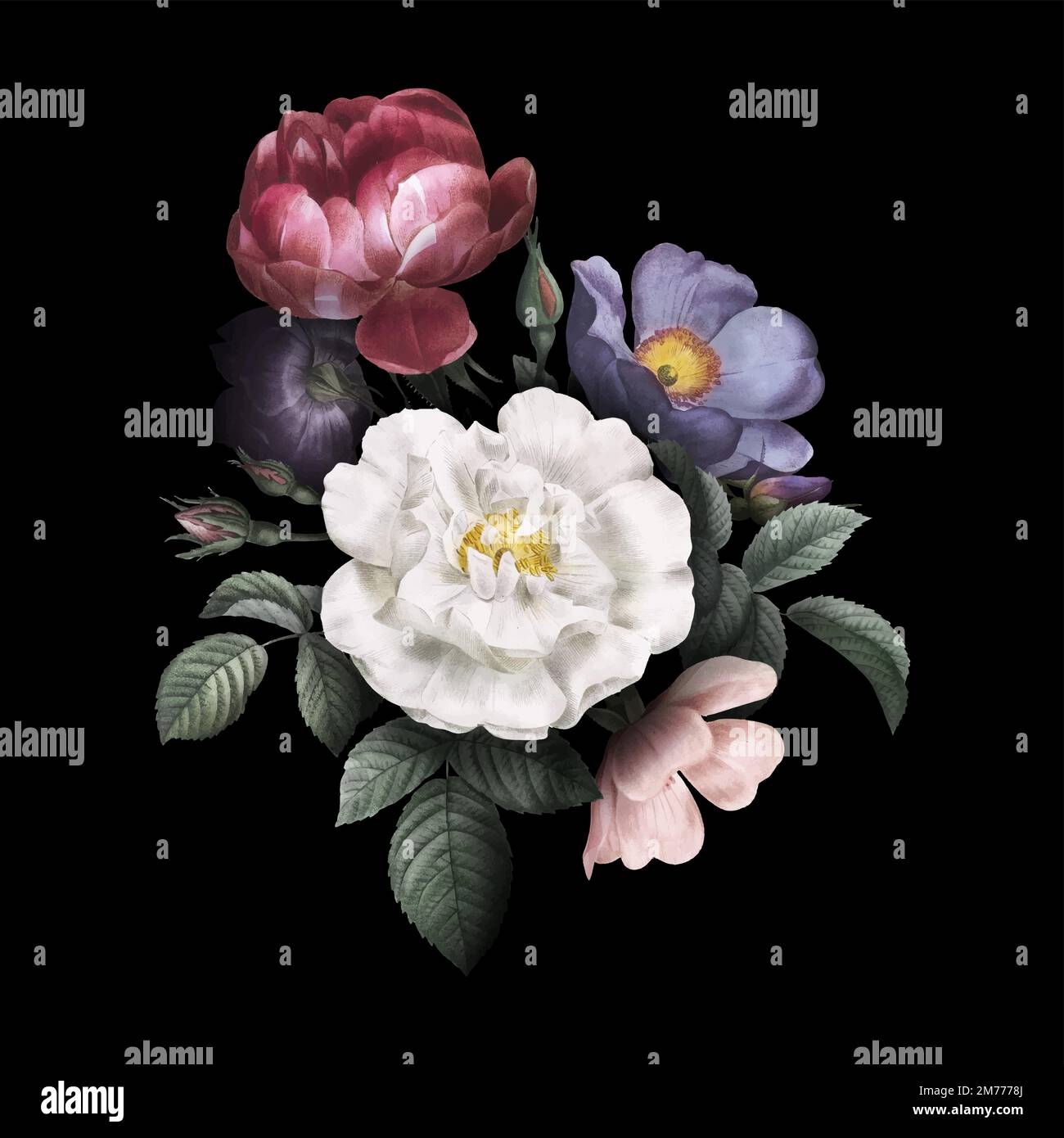 Beautiful hand drawn colorful roses vector Stock Vector Image & Art - Alamy