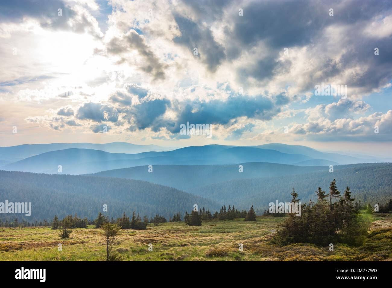 Hruby Jesenik (Altvatergebirge, High Ash Mountains): mountain Praded ...