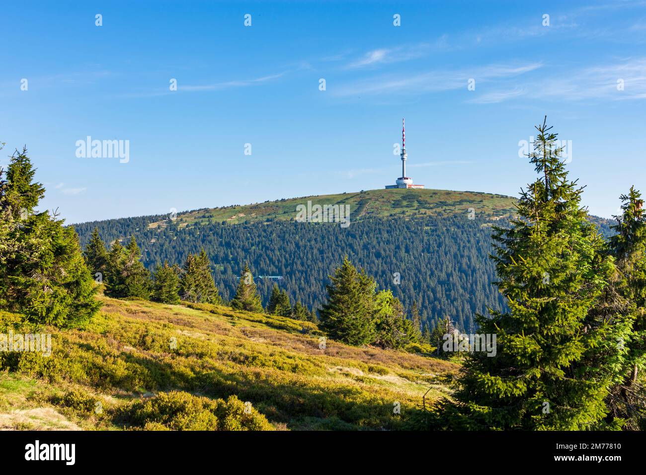 Hruby Jesenik (Altvatergebirge, High Ash Mountains): mountain Praded ...