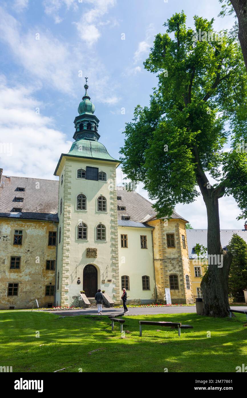 Rymarov (Römerstadt) : Janovice Castle in , Moravskoslezsky, Moravian ...