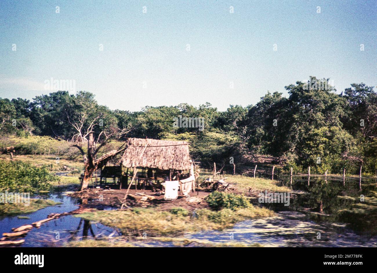 Thatched hut house building, Rio Magdalena river delta, Colombia, South ...