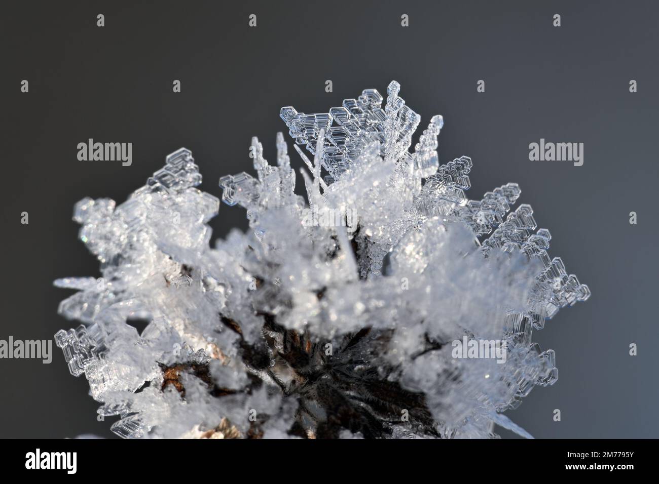 Massive ice crystals in a winterdays daylight - close up Stock Photo ...