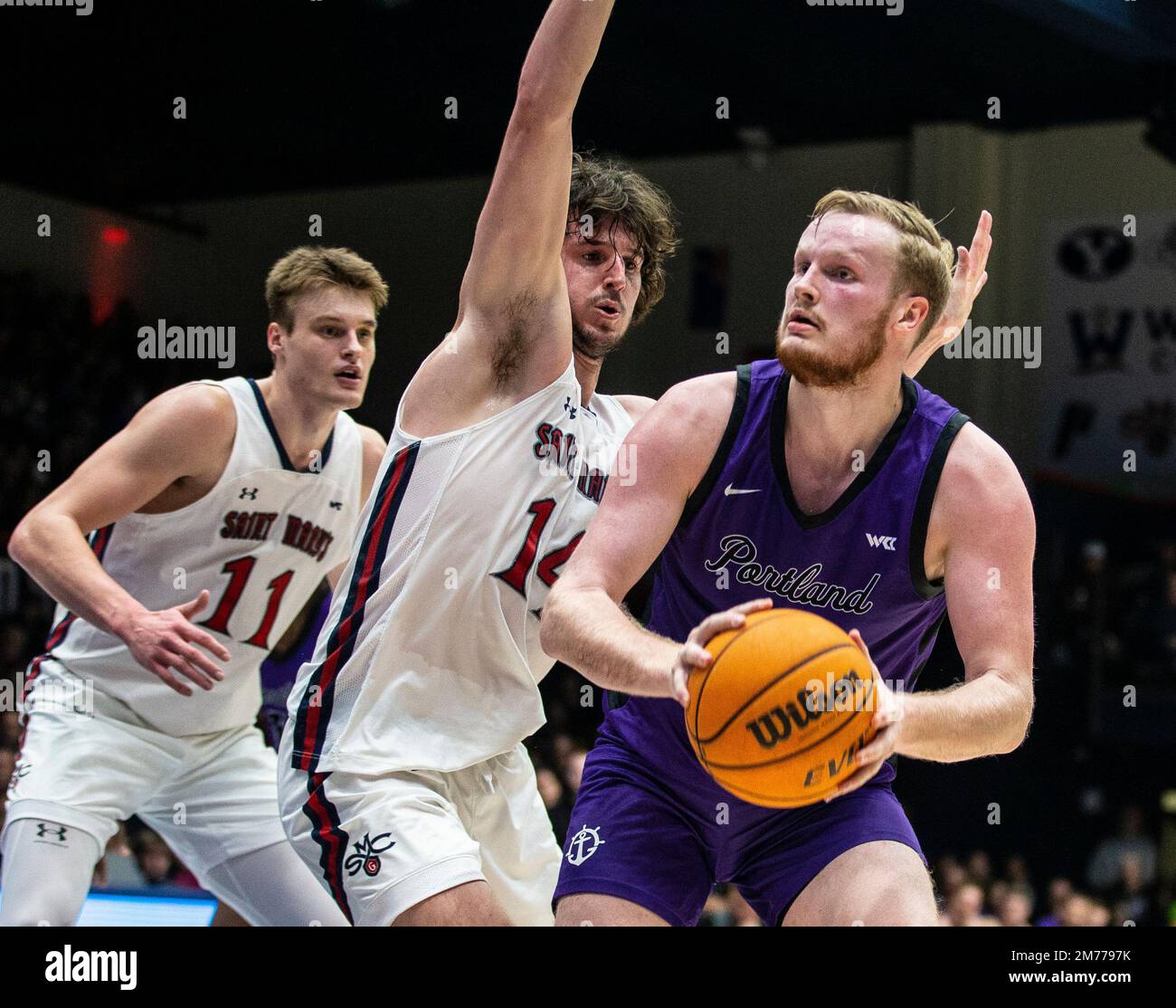 2023 0088 jpg hi-res stock photography and images - Alamy