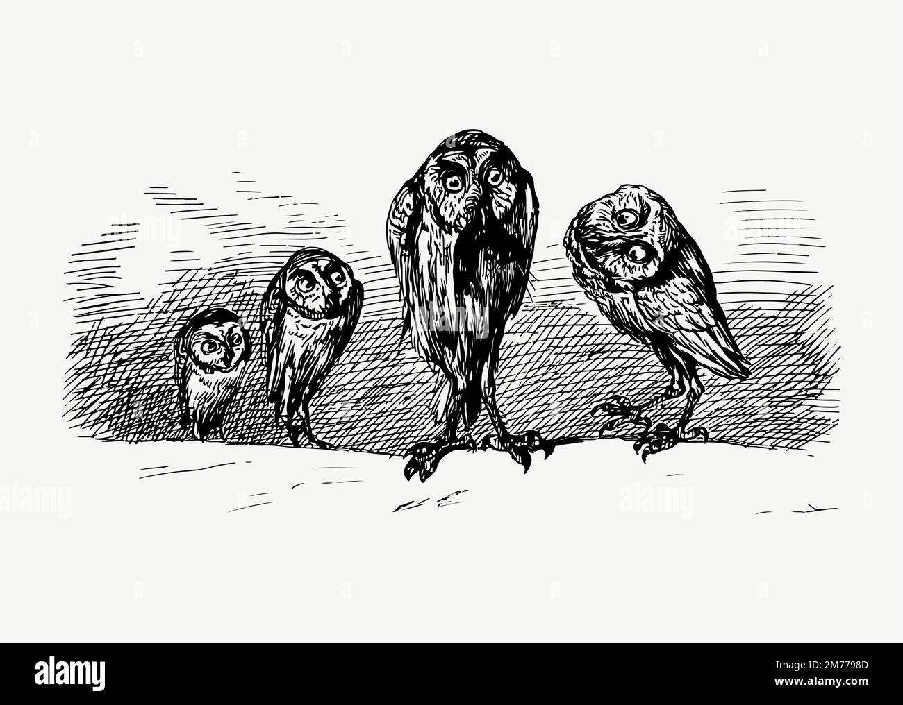 Flock of owls illustration vector Stock Vector Image & Art - Alamy