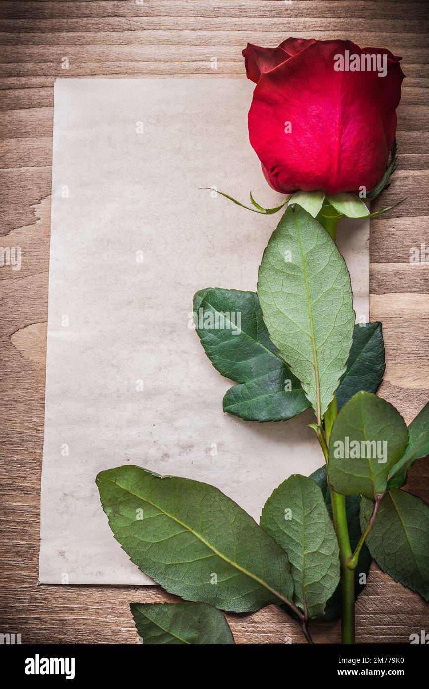 Clean sheet of paper with red rose holiday concept Stock Photo - Alamy