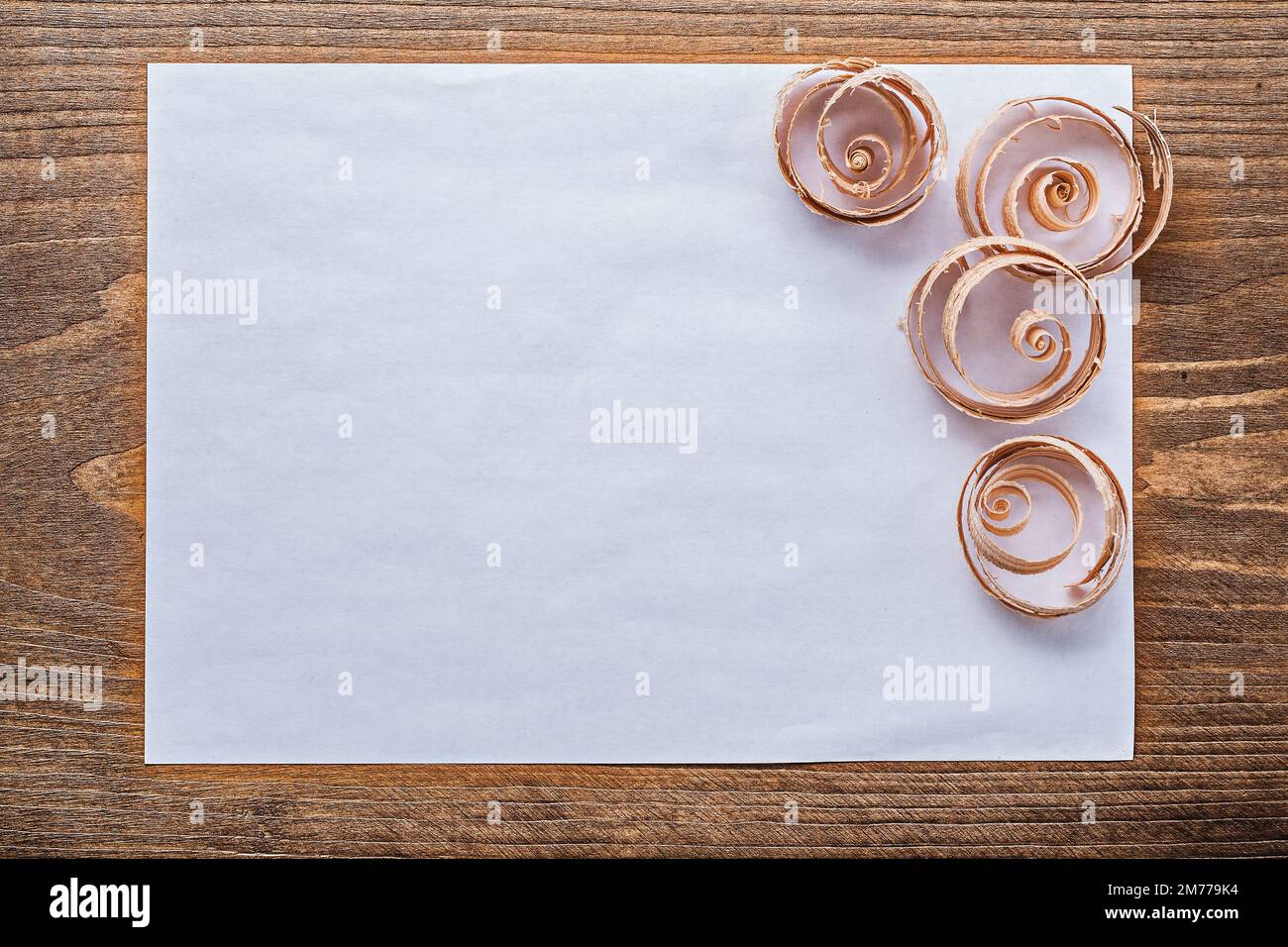 Clean sheet of paper curled shavings construction concept Stock Photo ...