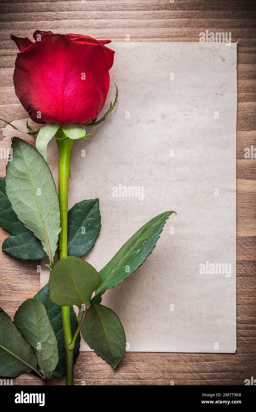 Clean sheet of paper with bloomed rose holiday concept Stock Photo - Alamy