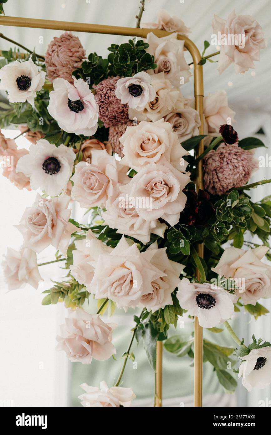 A vertical shot of beautiful flowers on the blurry background Stock ...