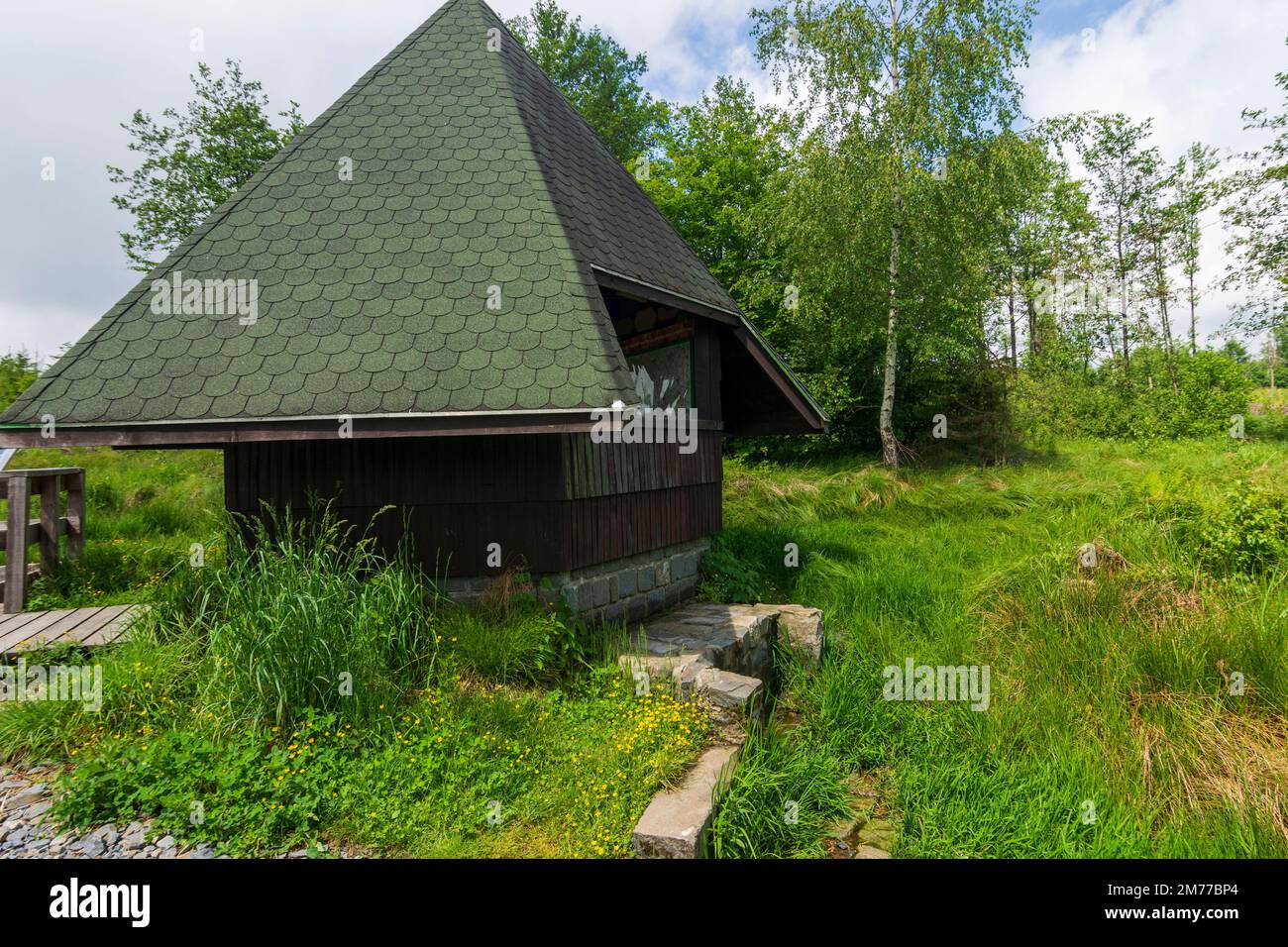 Kozlov u Velkeho Ujezd (Koslau): Odra (Oder) source in Oderske vrchy ...