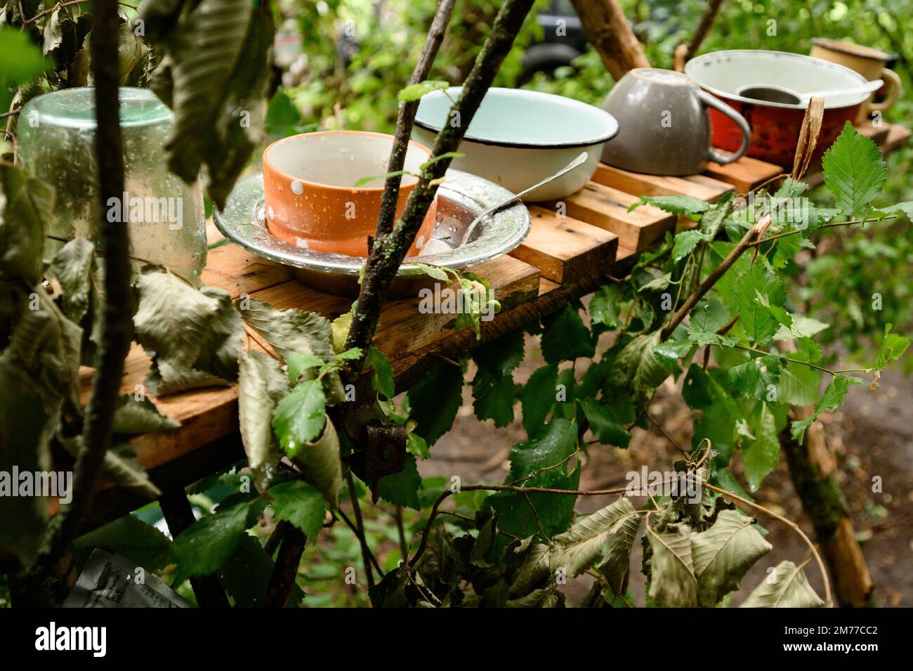 A table with dishes in the forest among bushes and trees, dishes wet ...