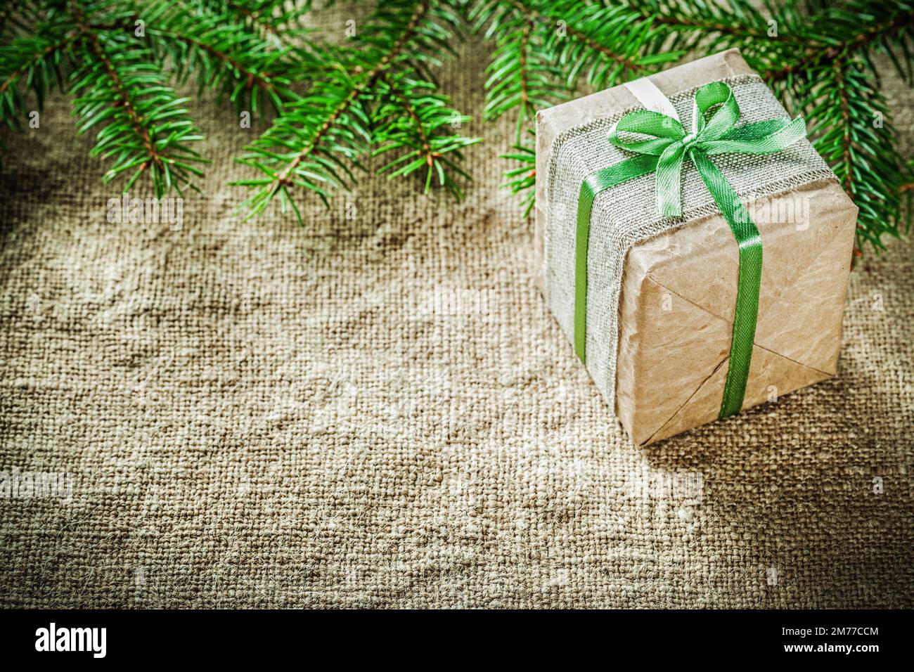 Pine tree branch handmade gift box on sacking background Stock Photo ...