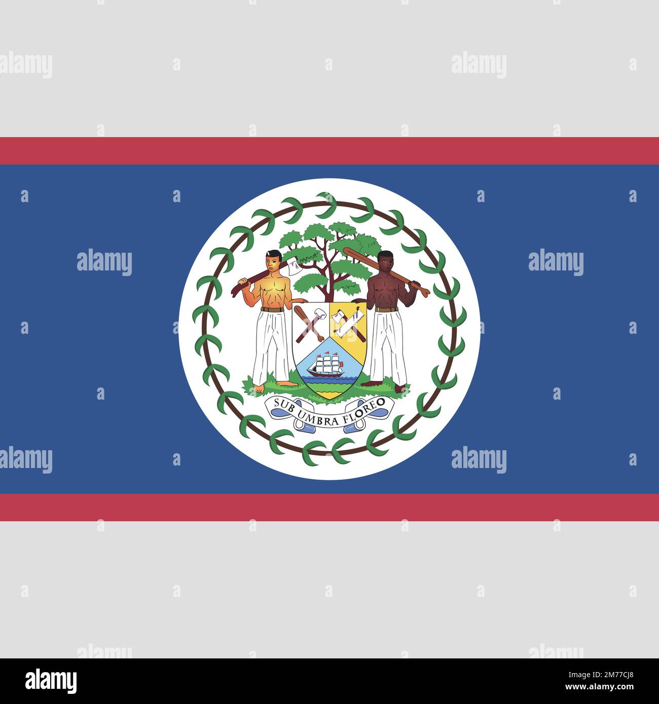 Flag of Belize vector illustration Stock Vector Image & Art - Alamy
